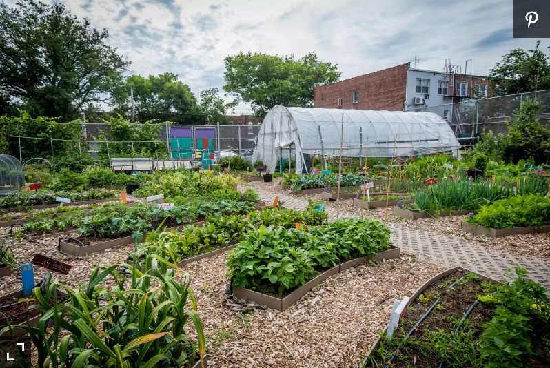 ¿Qué es un jardín comunitario? ¿debería unirme a uno? – PUERTOie el ...
