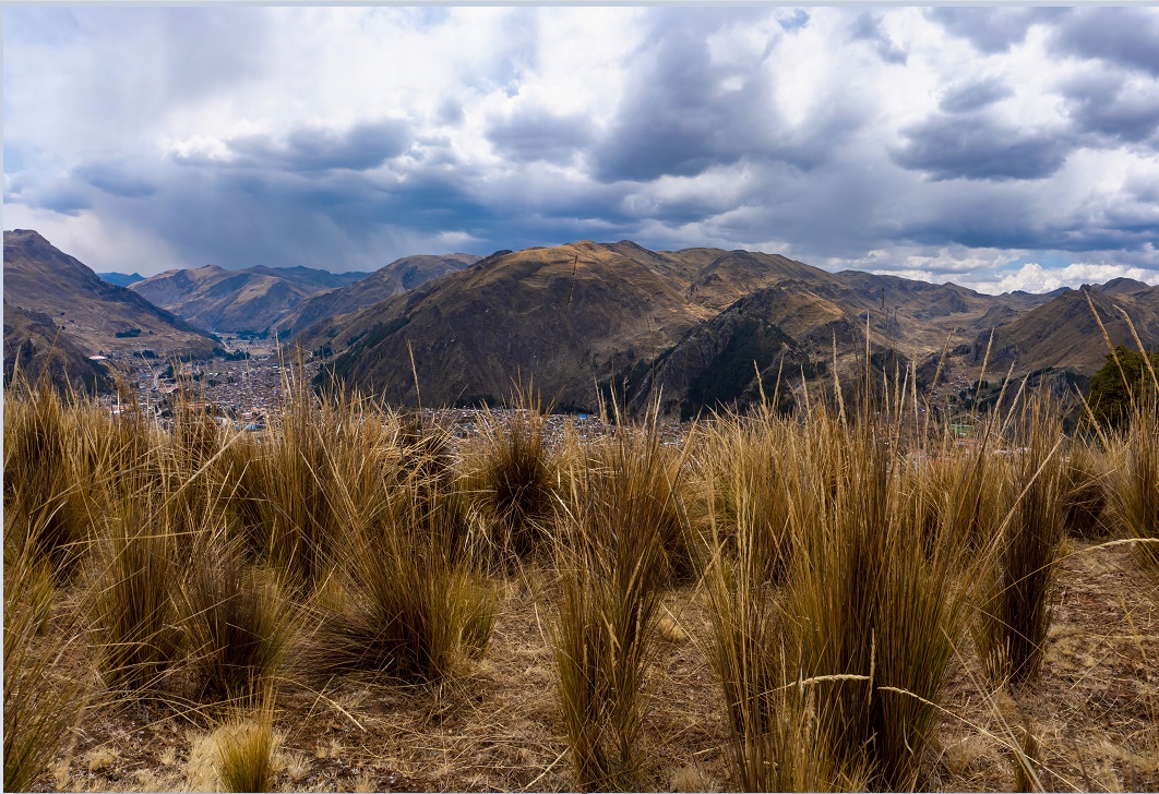 Ichu, la planta que puede rediseñar los trajes espaciales | N2994 ...